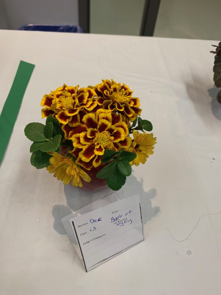 Flower Show & Trophy Photo Gallery – BRAMPTON HORTICULTURAL SOCIETY